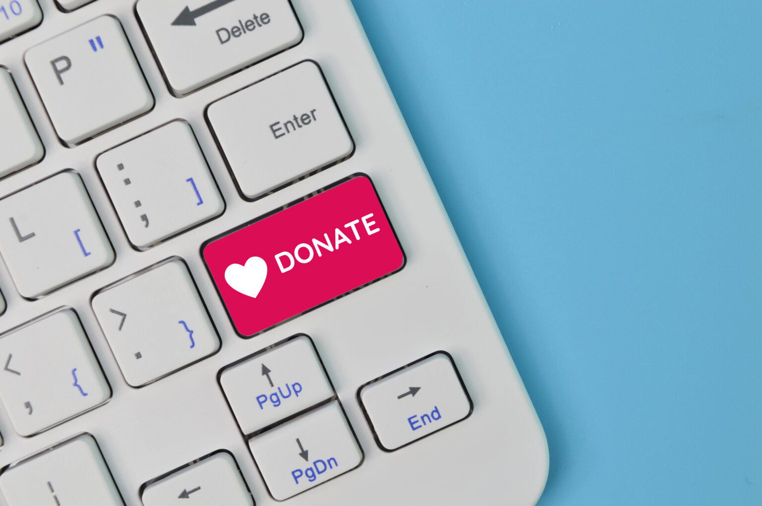 Top 5 Online Donation Platforms in Canada + Self-Hosted Forms